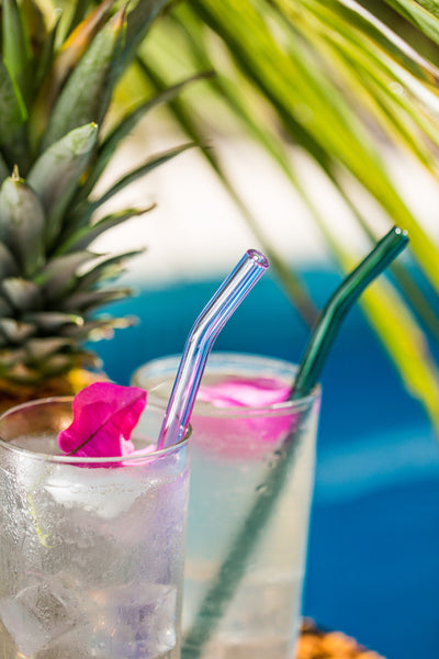 Bermuda Tide - Bent Glass Straws - Four Pack Made in USA – Hummingbird ...